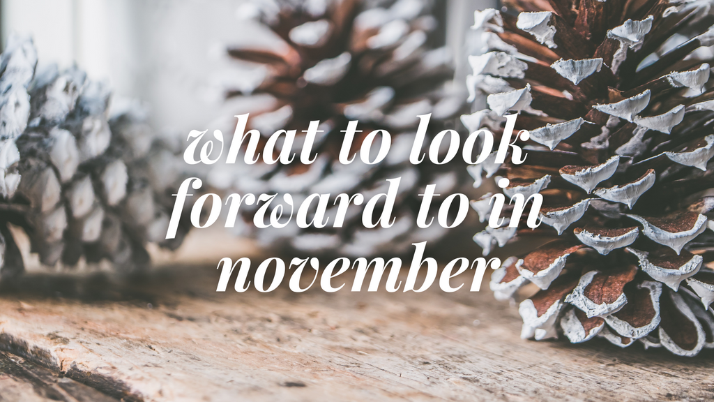 What to Look Forward to in November – MaskerAide Beauty